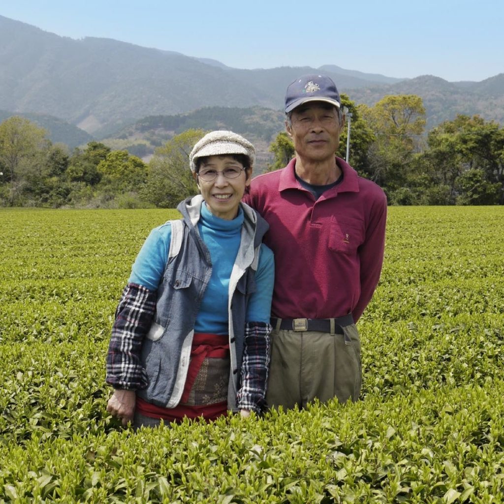 La coltivazione di tè biologico della famiglia Morimoto